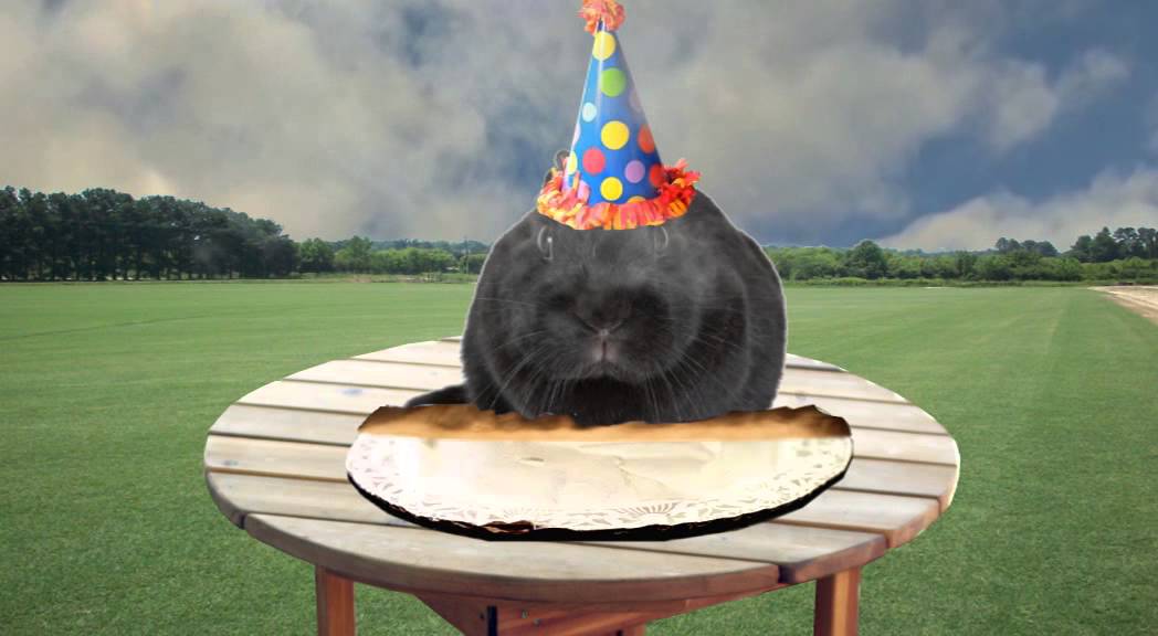 Exploding Birthday Cake - YouTube