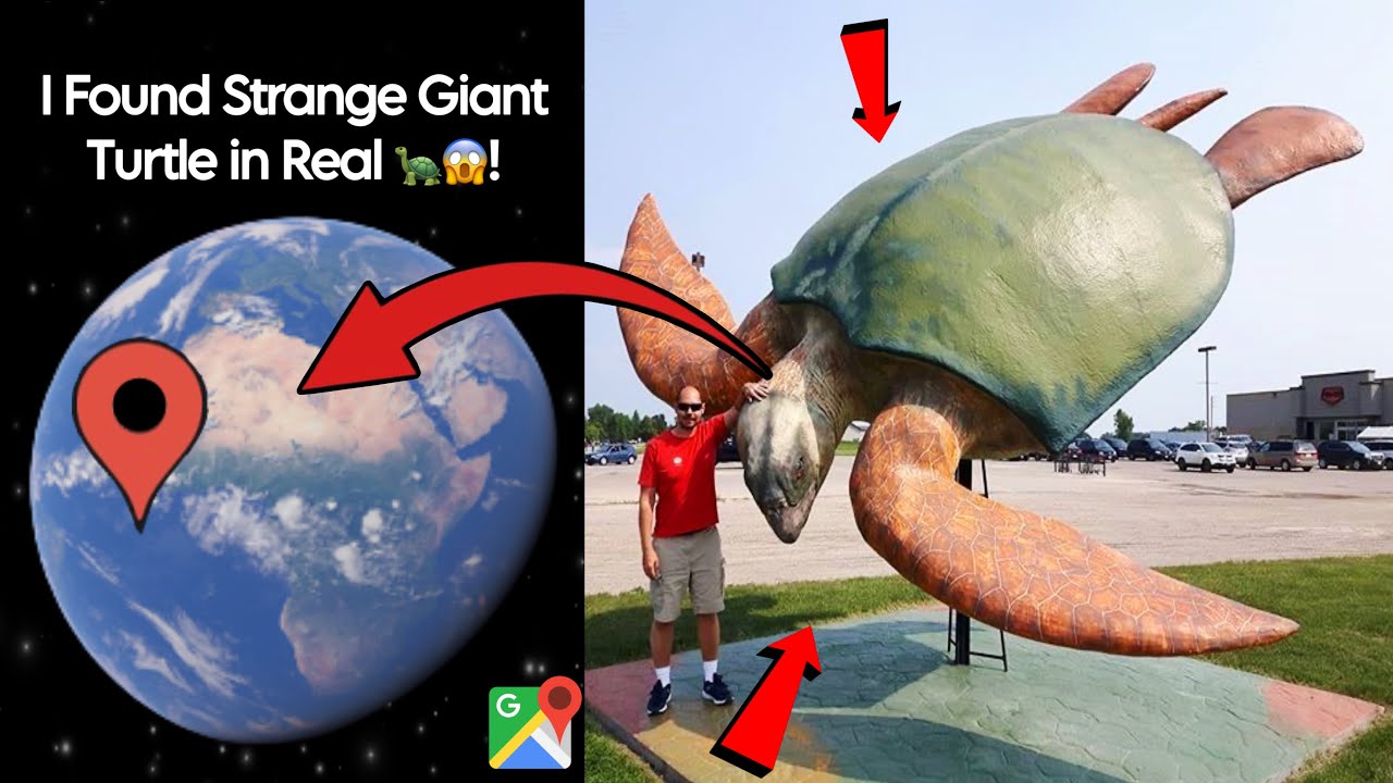 😱I Found Very Strange Huge Turtle 🐢 On Google earth and Google maps 🌎 ...