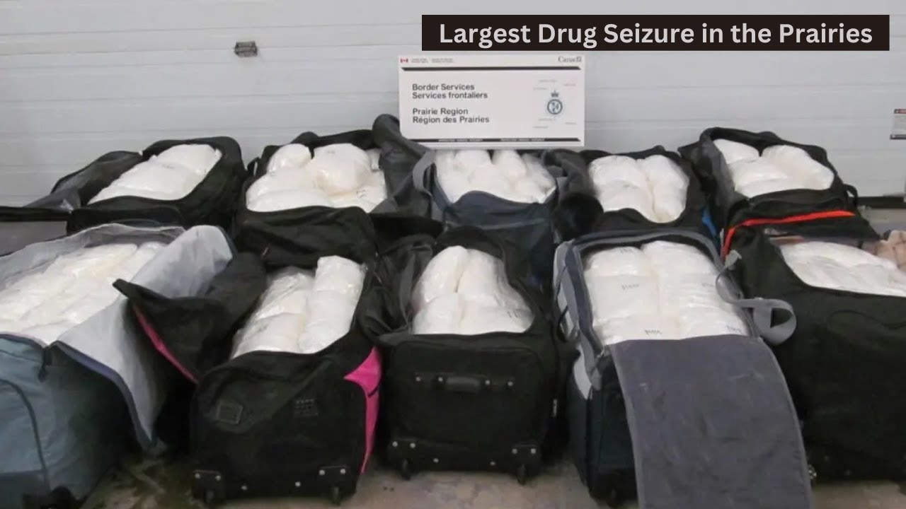 The Largest Drug Seizure in the Prairies: A Detailed Breakdown - YouTube
