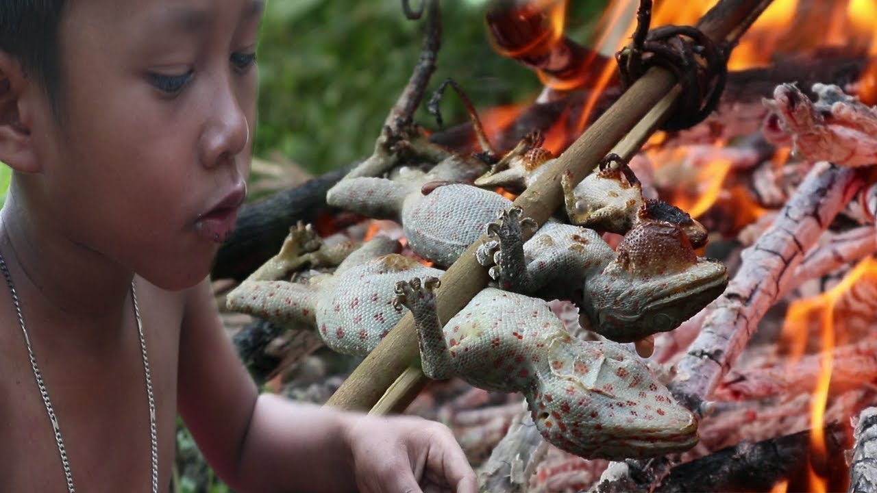 Primitive Technology - Catch n Cook gecko - YouTube
