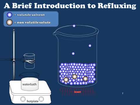 A Brief Introduction to Refluxing - YouTube