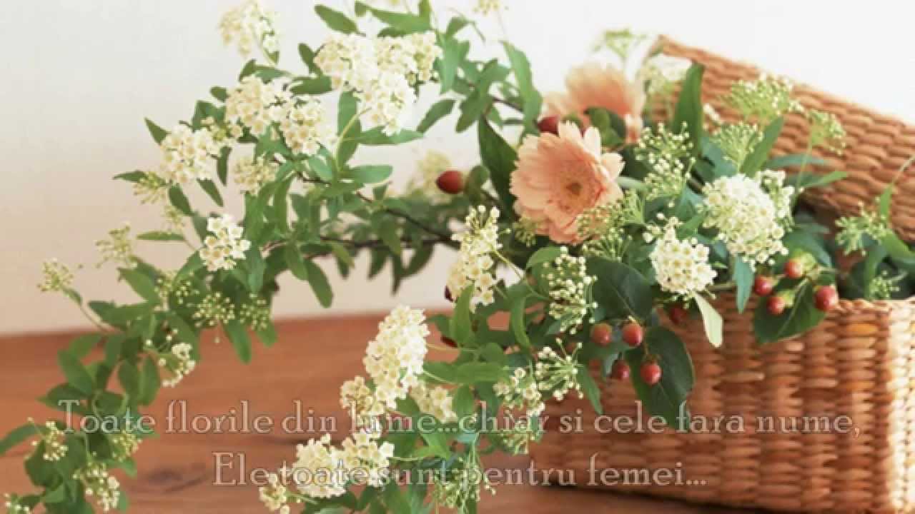 TOATE FLORILE DIN LUME... - YouTube