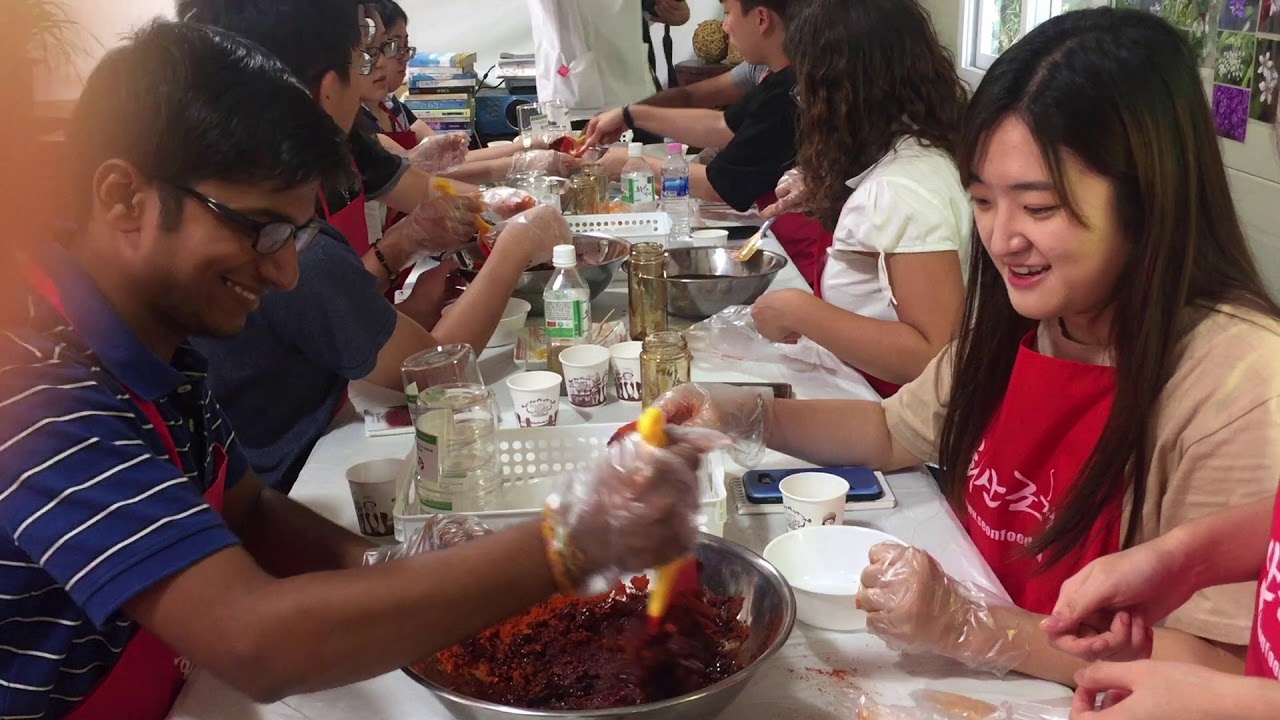 APYE Korea 2017 Recap Video - YouTube