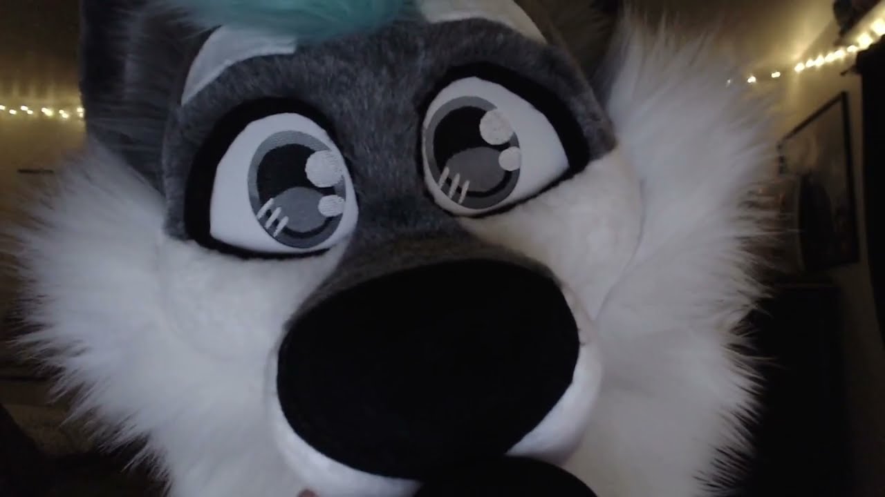 [FURRY ASMR] BIG SNOOT, MANY SNIFFS - YouTube