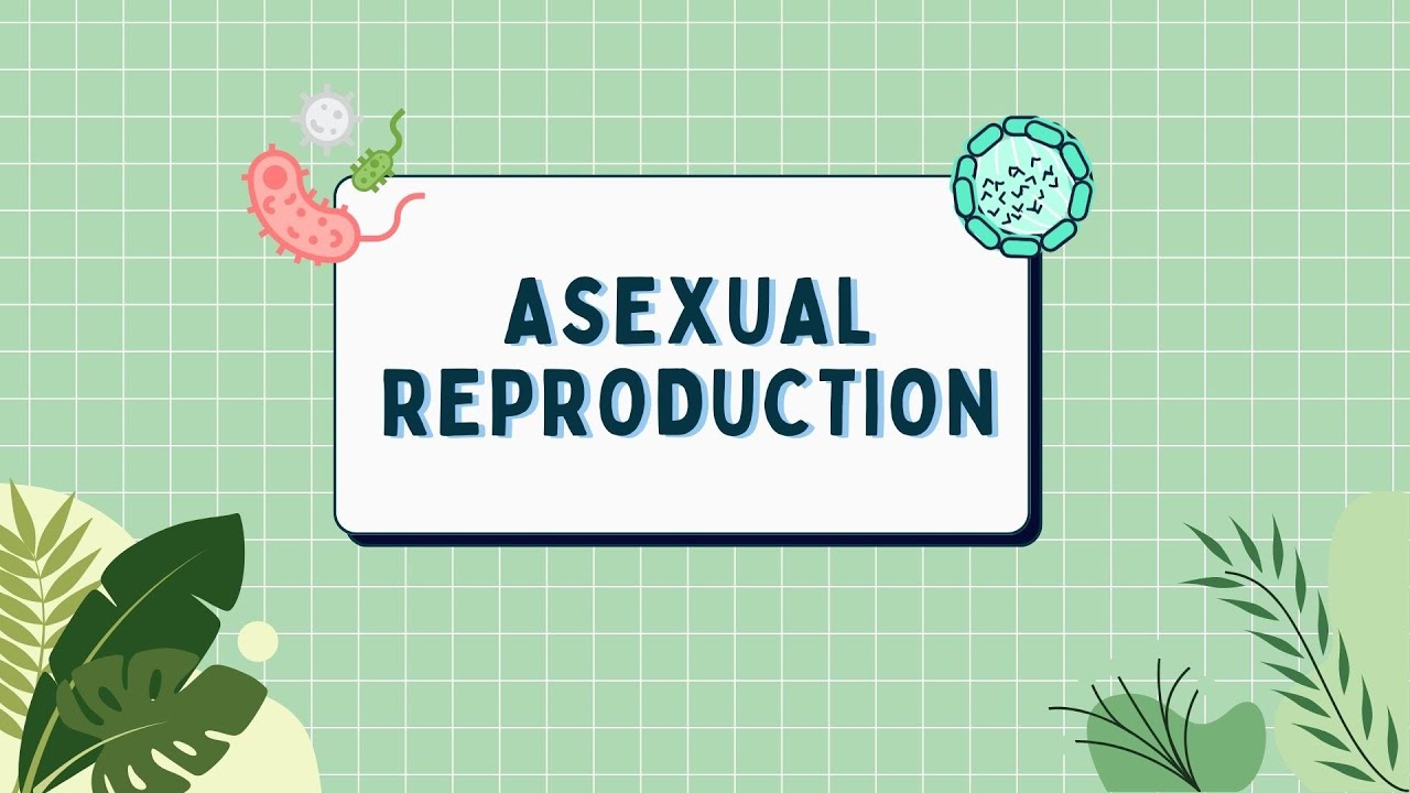 Chapter 8: Asexual Reproduction | Reproduction in Plants | Science ...