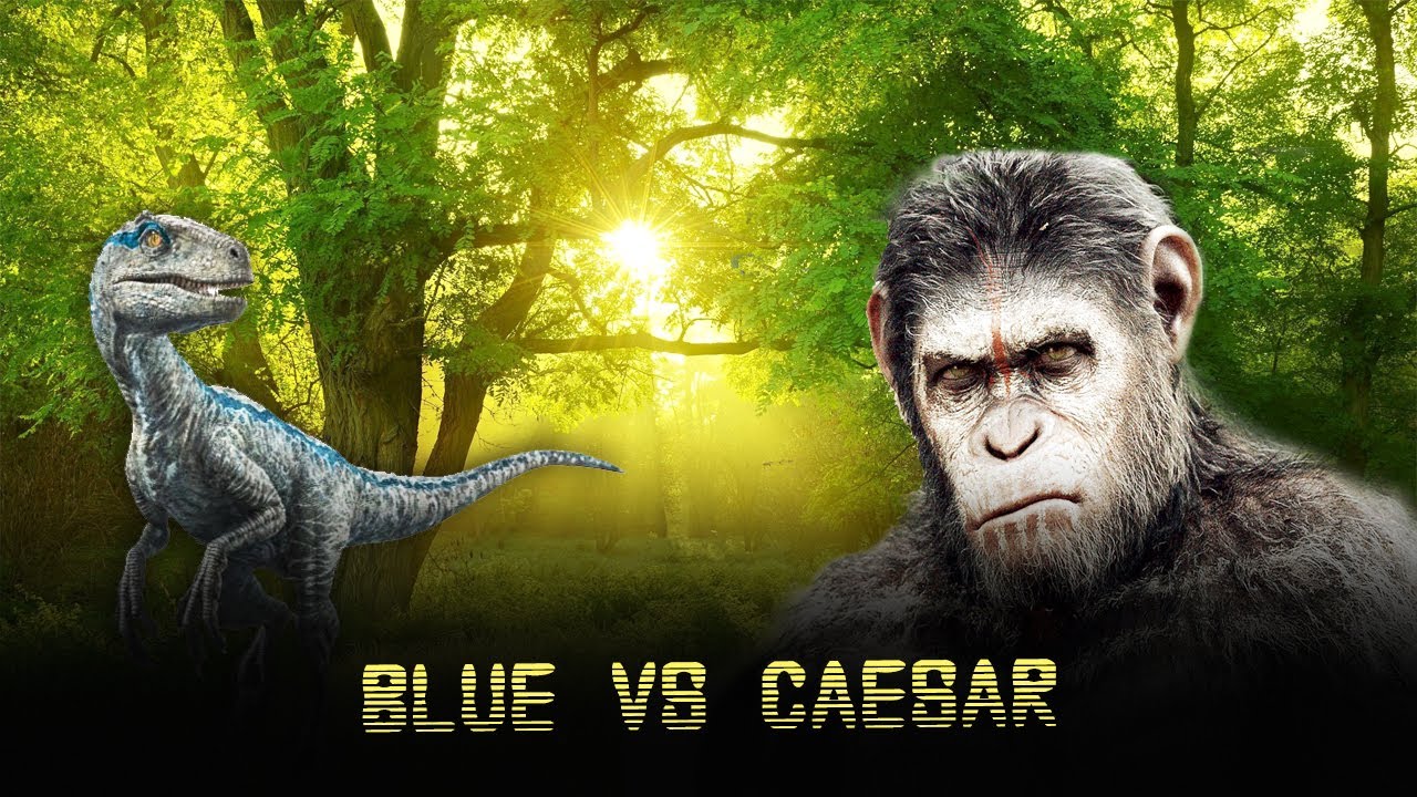 Blue vs Caesar - YouTube