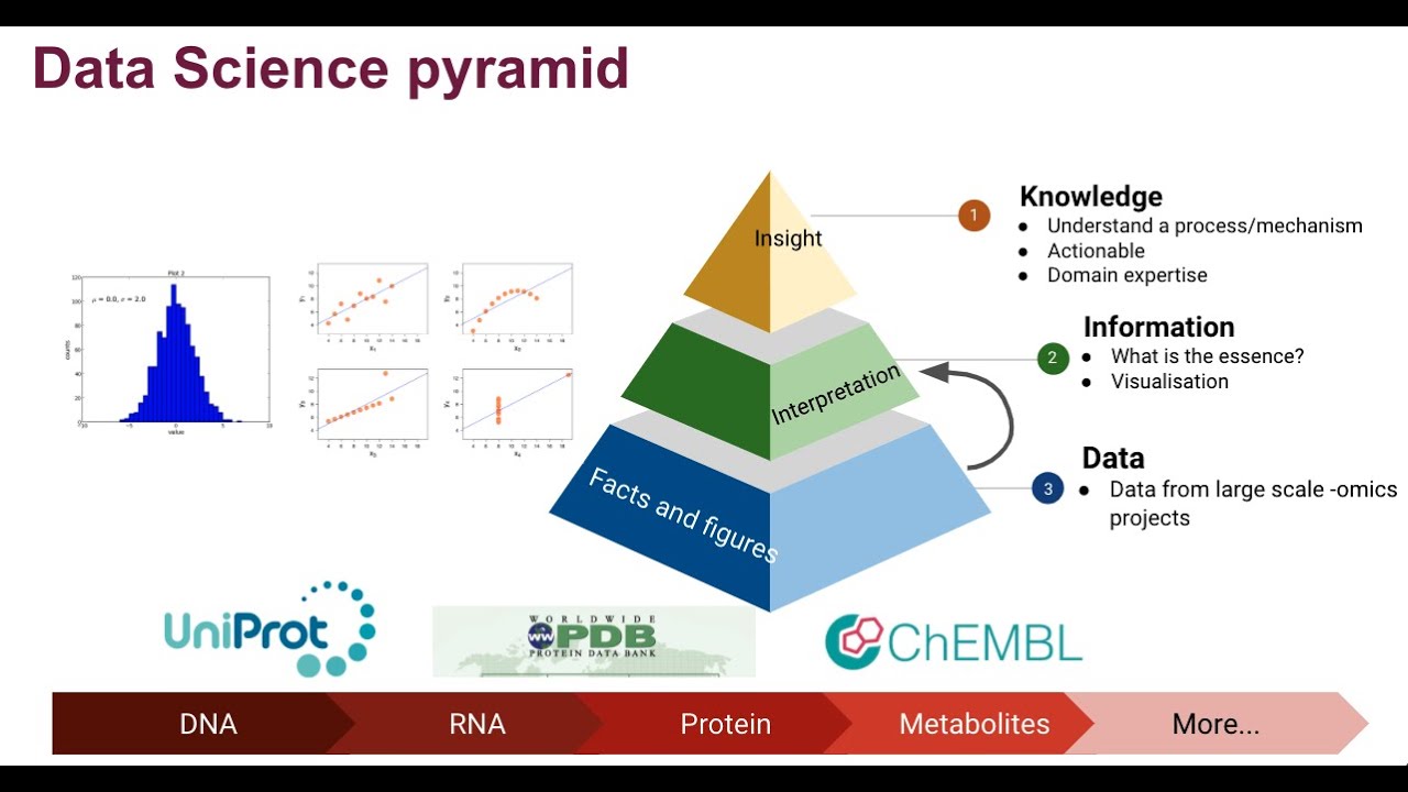 How to model complex biological data in a database? - YouTube