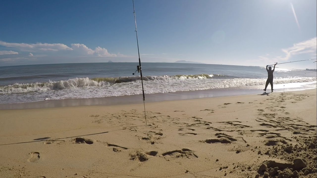 Surfcasting pantai waktu ombak besar ! Diserang ikan bermisai‼️ | Lawan ...