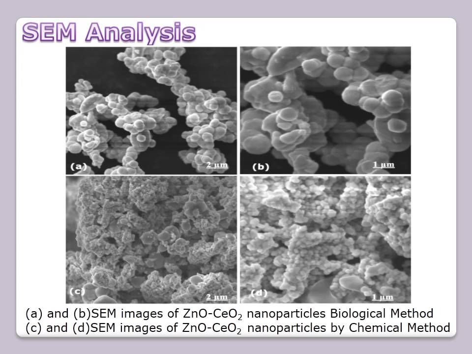 Biological Synthesis of ZnO-CeO2 Nanopartciles for Bilogical ...