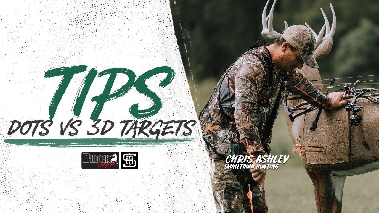 Archery Targets | Dots vs 3D - YouTube