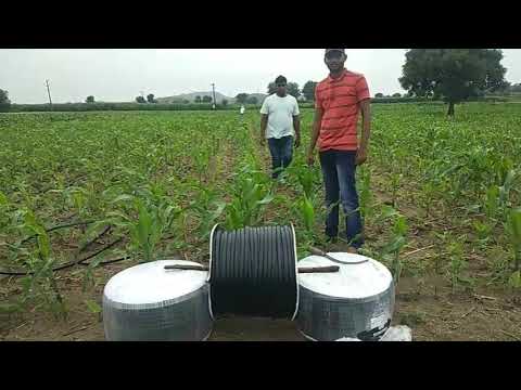 Easy for drip lateral laying - YouTube
