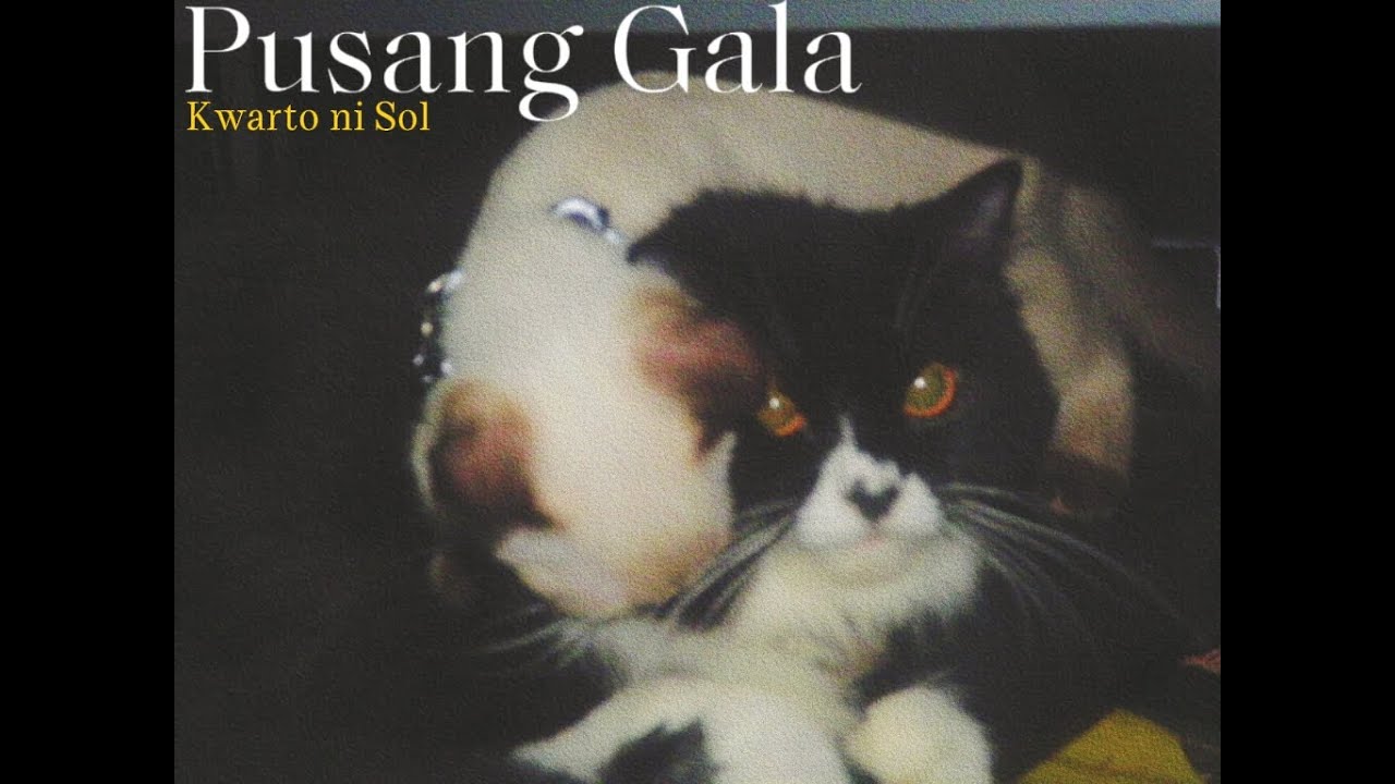 Kwarto ni Sol - Pusang Gala (Official Lyrics Video) - YouTube