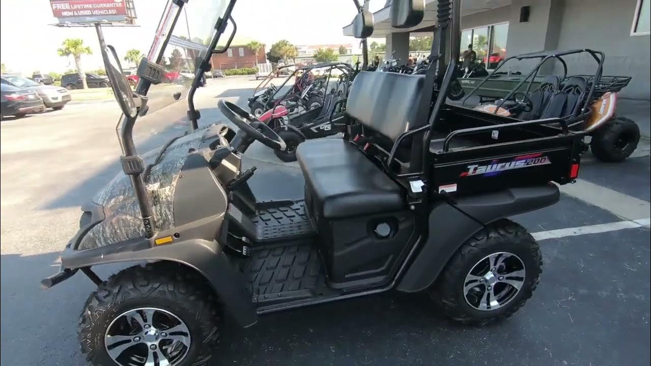 2022 TrailMaster Taurus 200U - New UTV For Sale - Myrtle Beach, SC ...