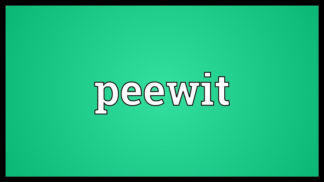 Peewit Meaning - YouTube