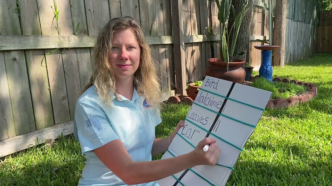 How to Create a Soundscape Chart - YouTube