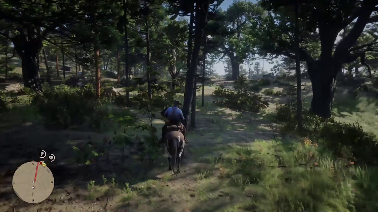 Red Dead Redemption 2 - Wasp Nest - YouTube