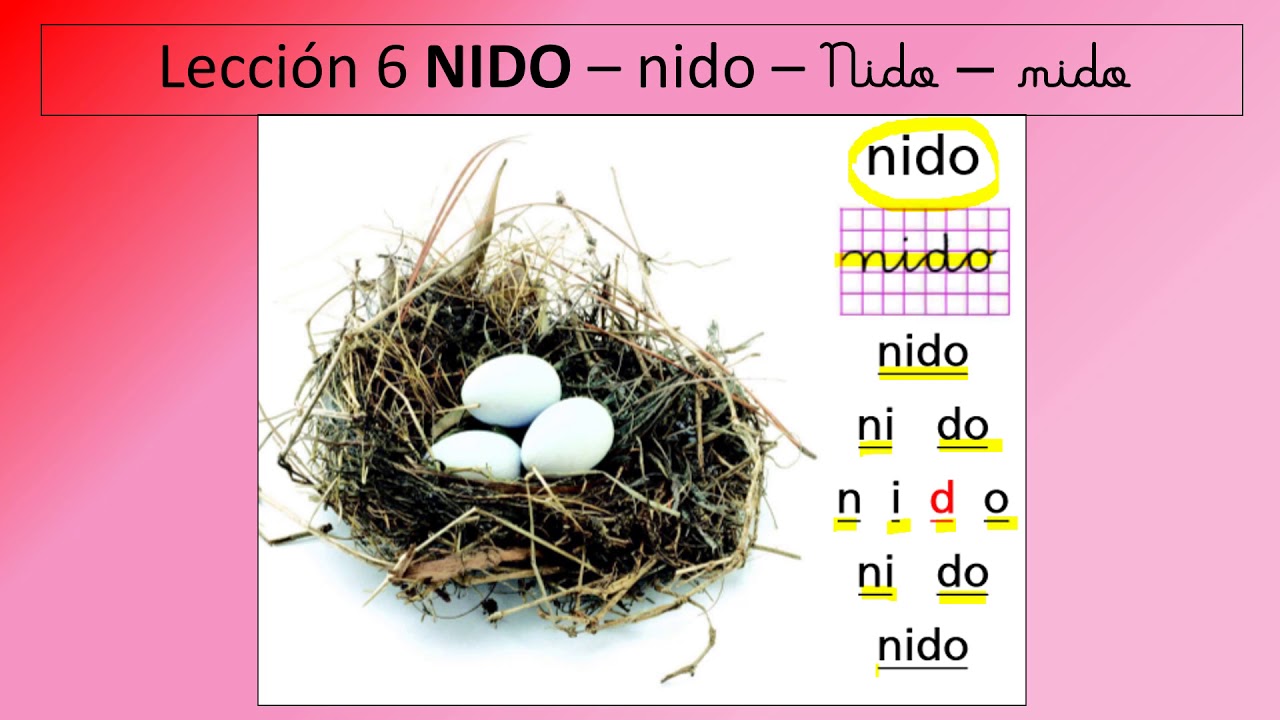 Sexta Lección NIDO, clase 1 - YouTube