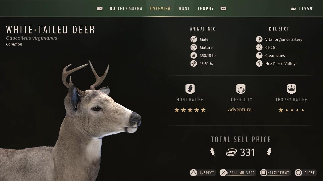 British Columbia whitetail deer hunt with Barnes TSX 270 winchester ...