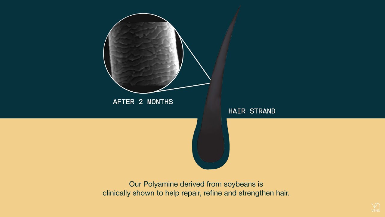 Why Polyamine is Key to Your Skin and Hair | VENN - YouTube