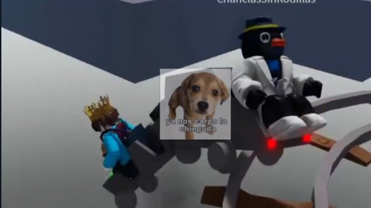 Pingu, No Se Donde Va Esto - YouTube