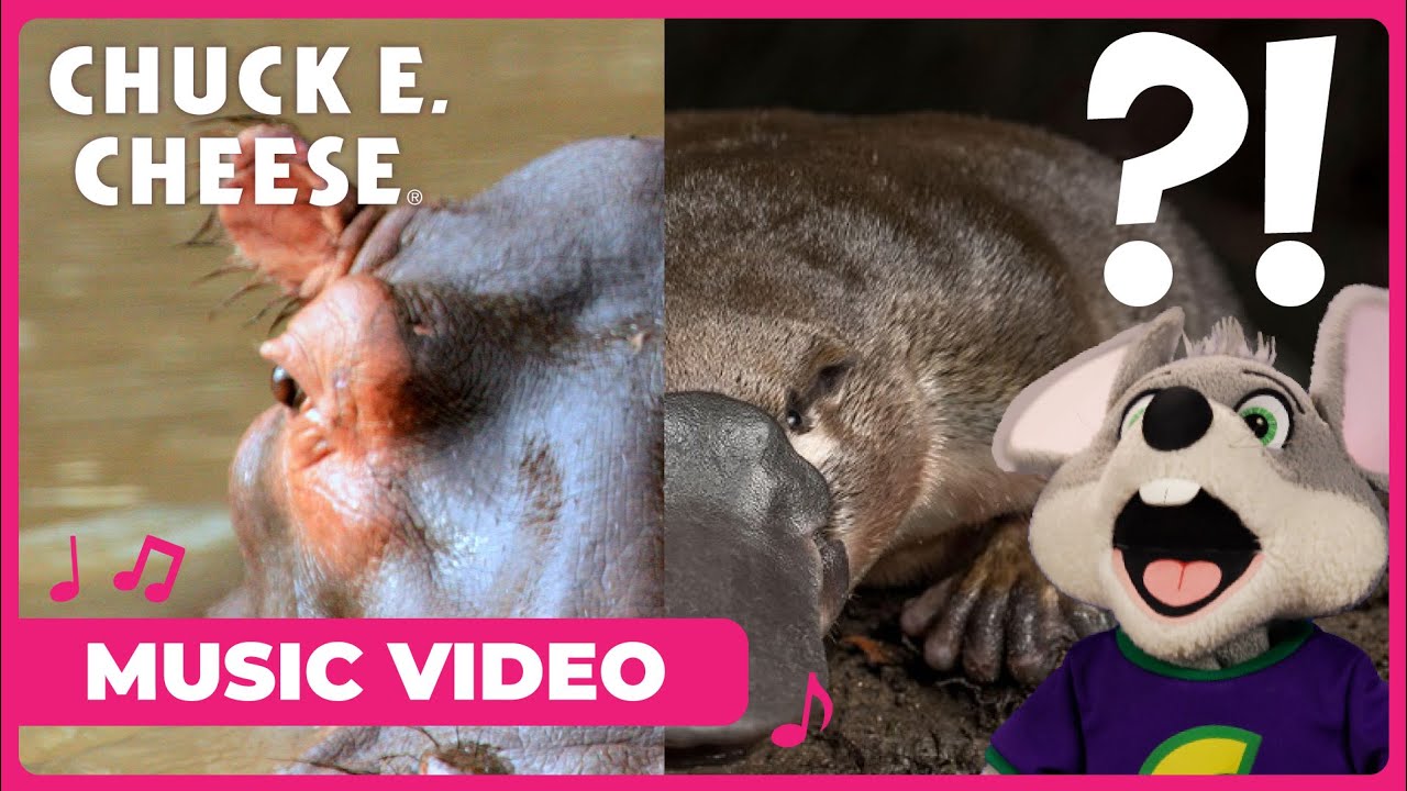 Hippoplatypus🐭🦛🦆| Silly Chuck E. Cheese Music Video 🎶🎥 - YouTube