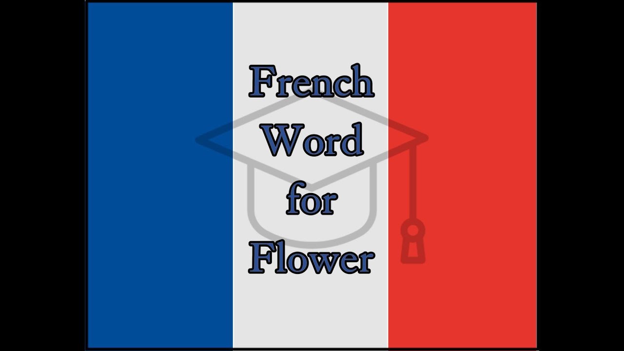 Le Fleur French Wallpaper