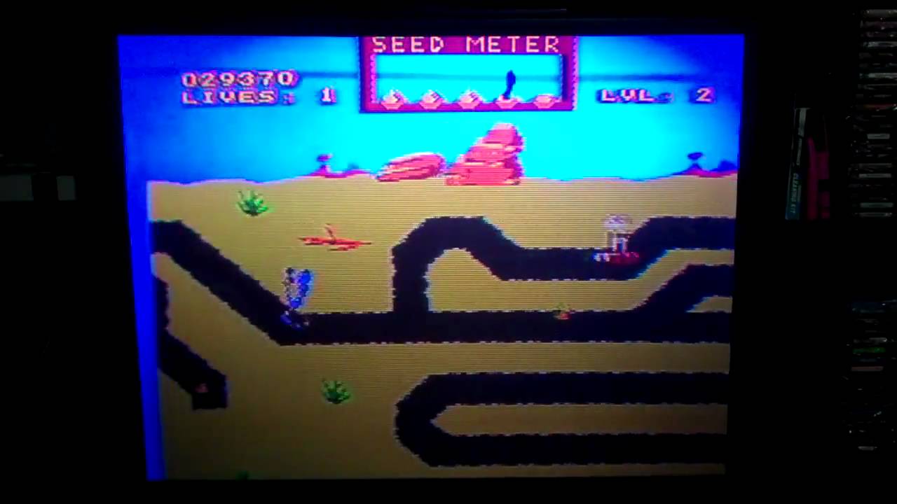 NES Collecting, Road Runner -Tengen - YouTube