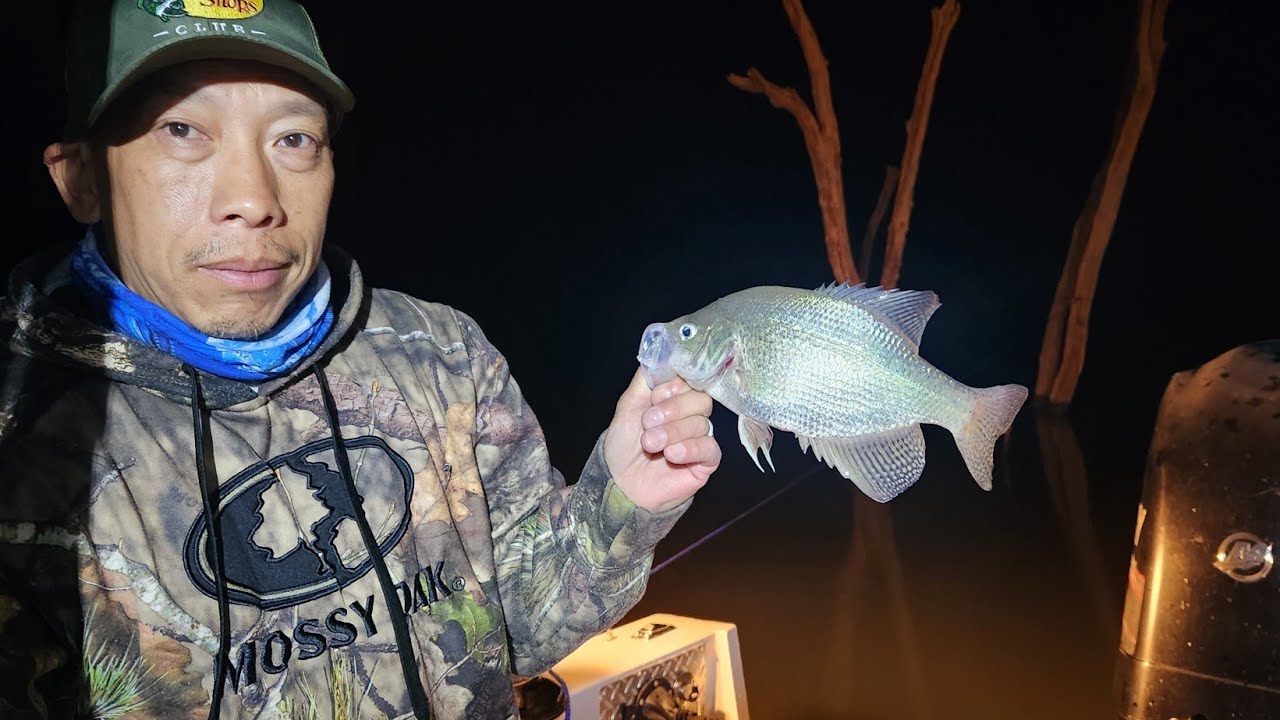 Crappie fishing Northern California (LIMIT OUT) catch and cook#panfish# ...