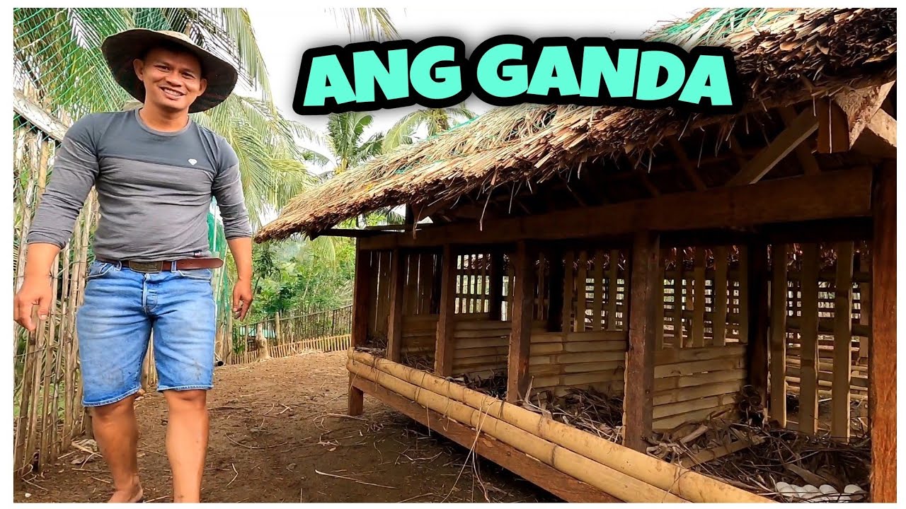 GOOD NEWS!NANGANAK NAMAN ANG NATIVE NA KAMBING+SOBRANG AYOS NG BAGONG ...