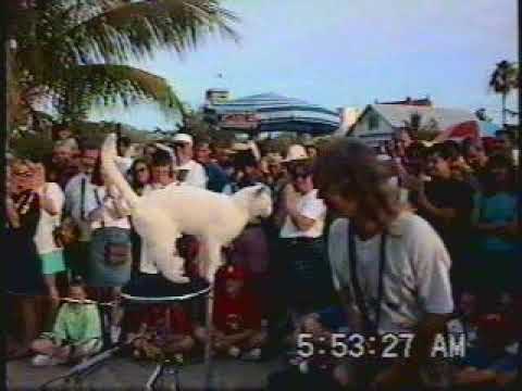 Cat Man in Key West March 1995 - YouTube