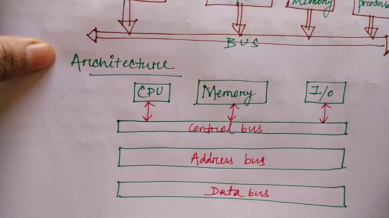 Bus Structure In Hindi Lec 10 Coa Niharika Panda Youtube