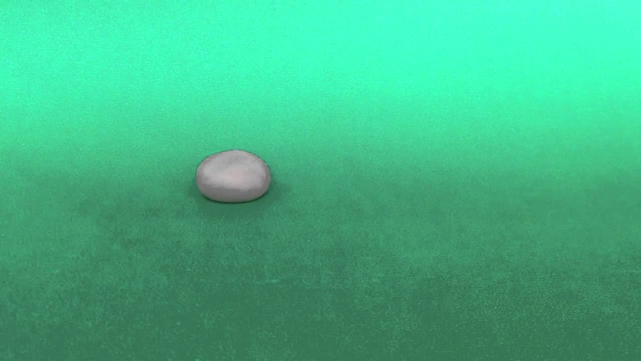 Squash & Strech - Stop Motion - YouTube