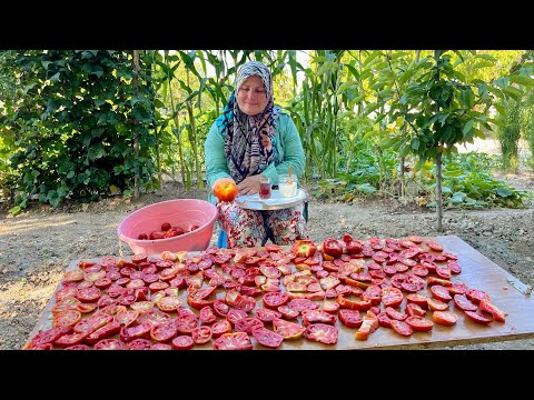 ATA TOHUMU DOMATESLERİMİZDEN KURUTMALIK‼️DOĞAL KIRAÇ DOMATES 👩‍🌾KÖY HAYATI #domates #yemektarifleri 