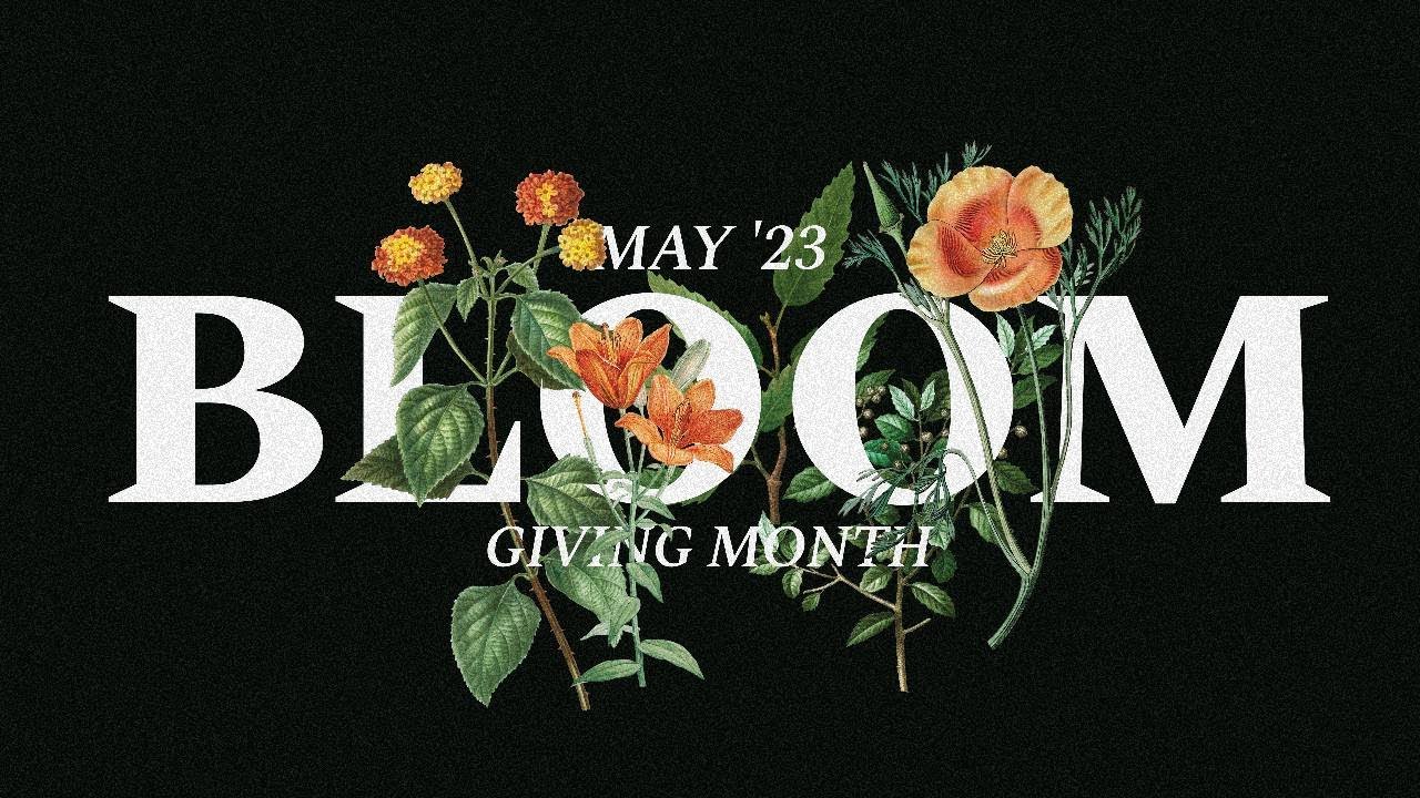 Bloom Series Week 3 - Resources - YouTube