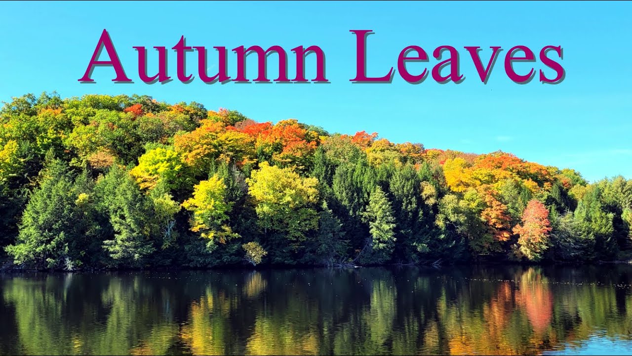 Autumn Leaves | Music - YouTube