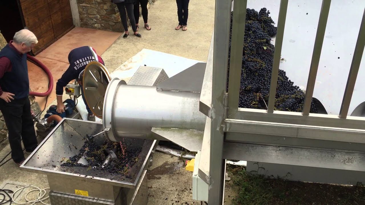Destemming Grapes at Crocce Di Mezzo Winery - YouTube