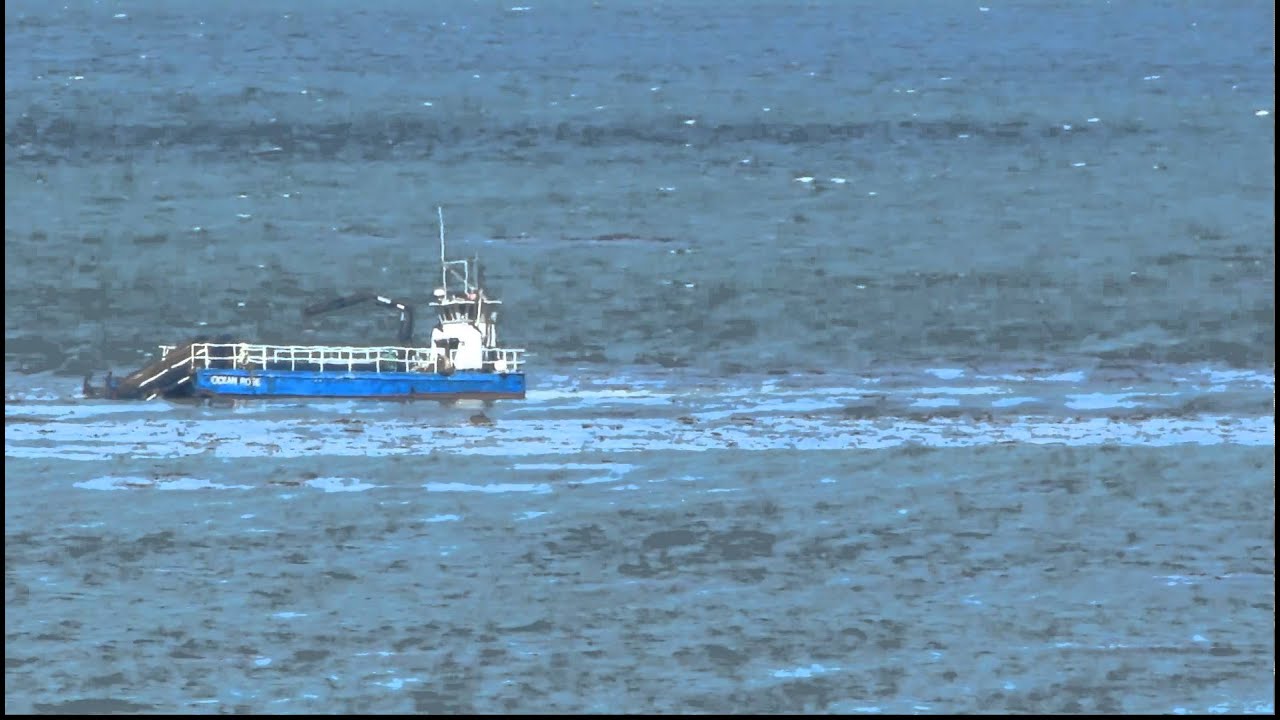 Kelp Cutter Boat - YouTube