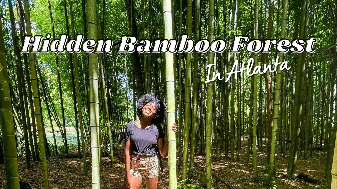 This Bamboo Forest In Atlanta Makes Me Feel Like I'm In Japan! - YouTube