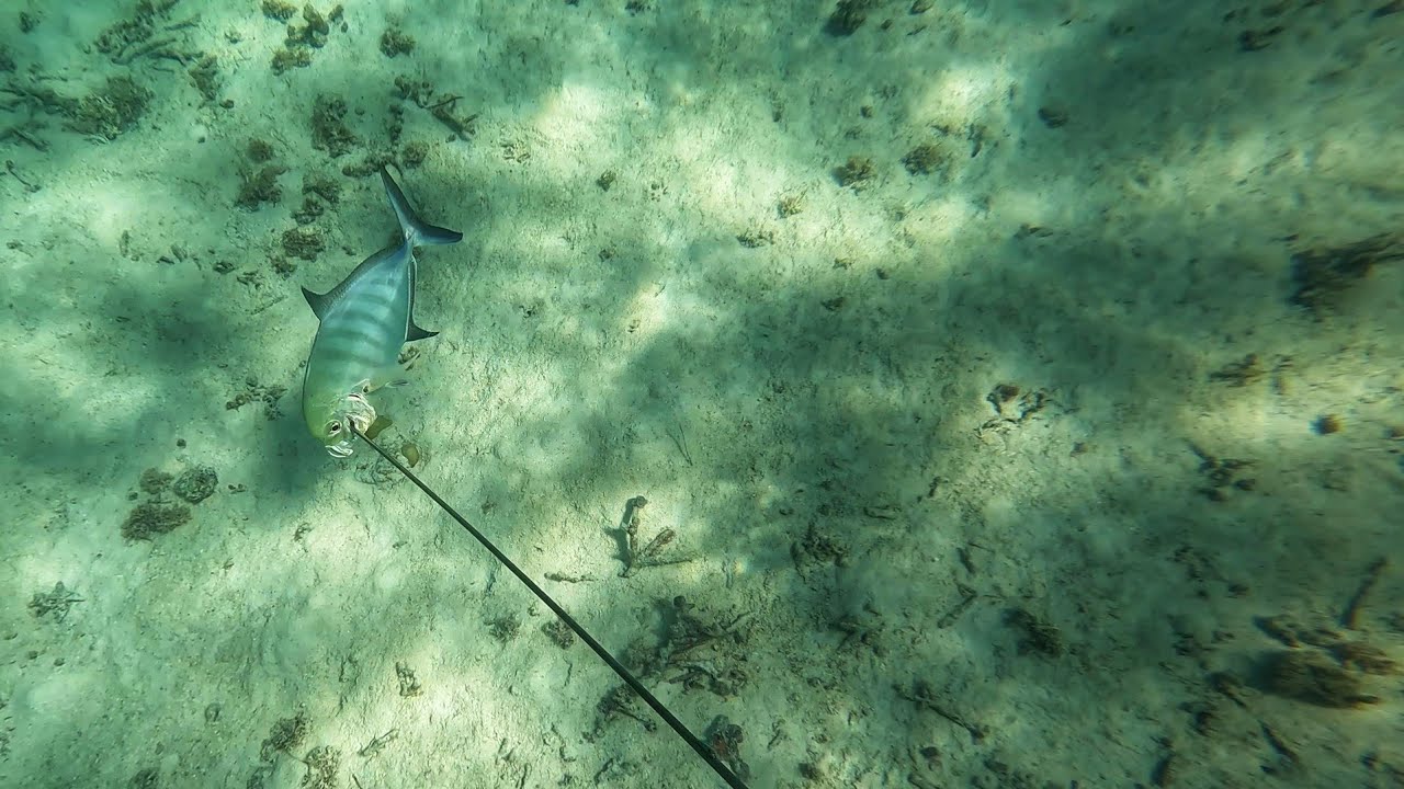 The Tanapag Beach Bad Boi Strikes Again After Four Years Im Glad To ...
