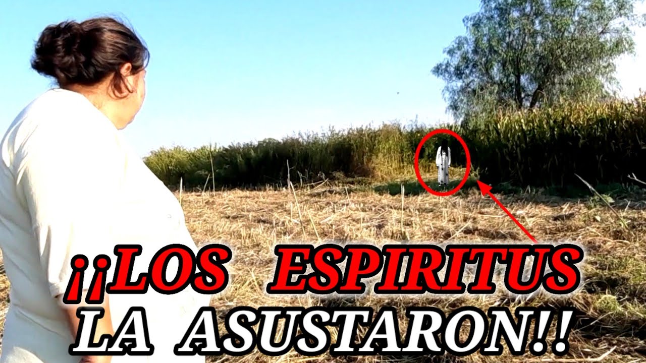 IMPACTANTE ESCUCHO RUIDOS Y LE EMPEZARON A AVENTAR COSAS!! - YouTube