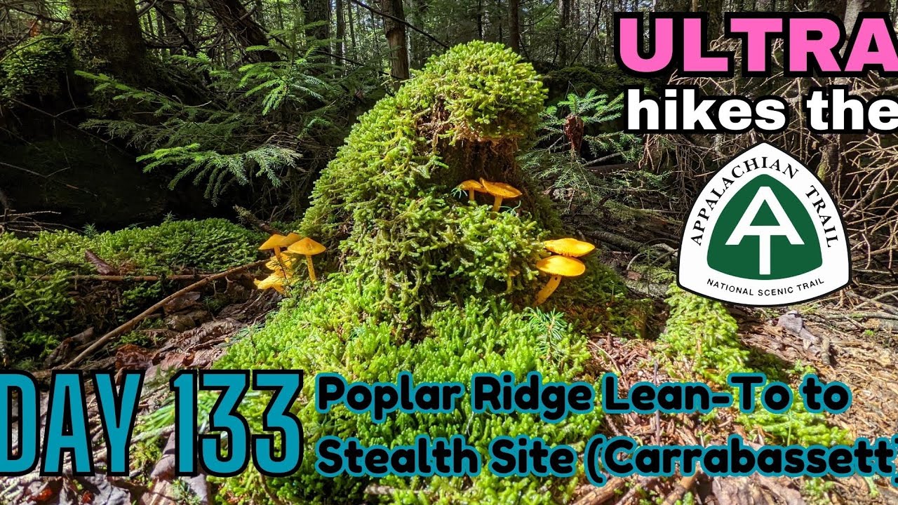 AT2023.Day.133: Poplar Ridge Lean-to to Stealth Site (Carrabassett ...