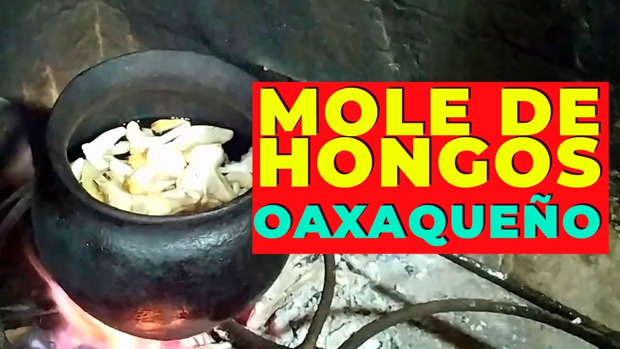 MOLE de HONGOS estilo oaxaqueño - YouTube