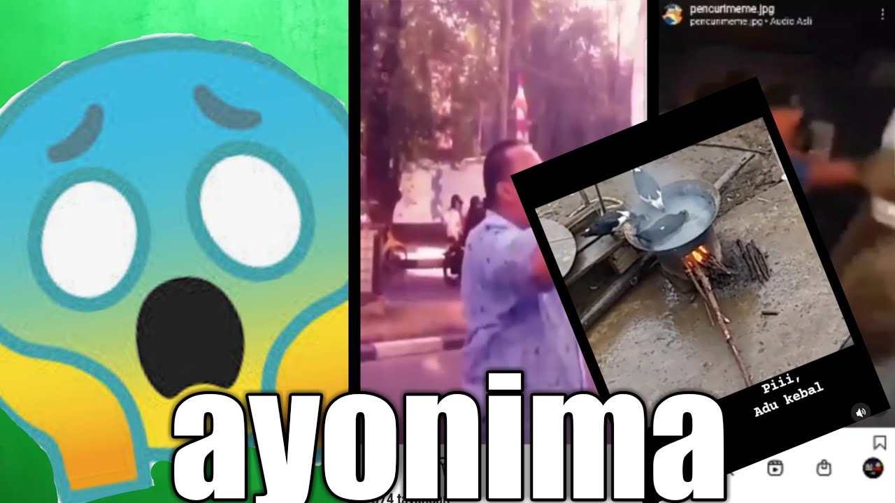reaction meme kalian yang sangat ayonima 🗿 - YouTube