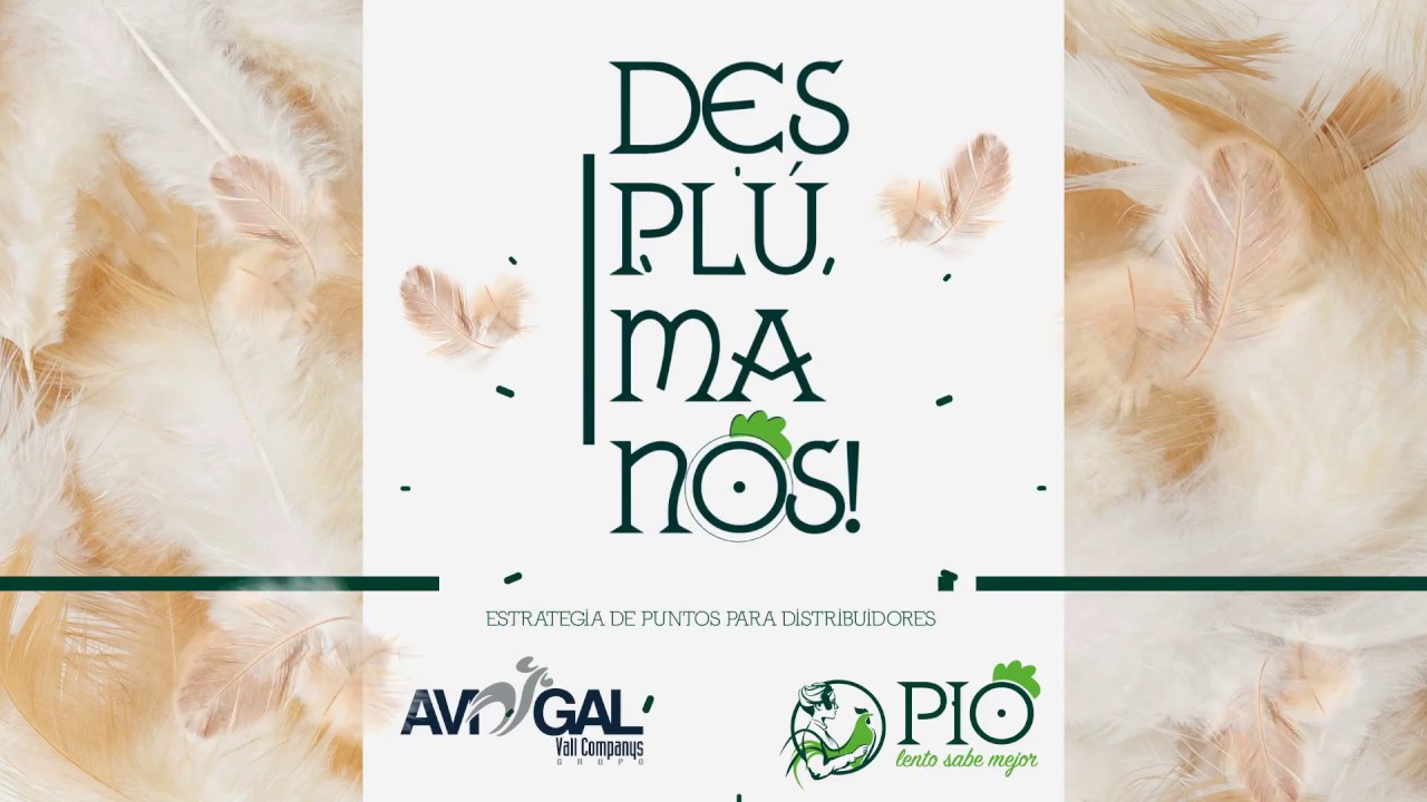 MEJOR MENSAJE EN MARKETING DIRECTO Y PROMOCIONAL - YouTube