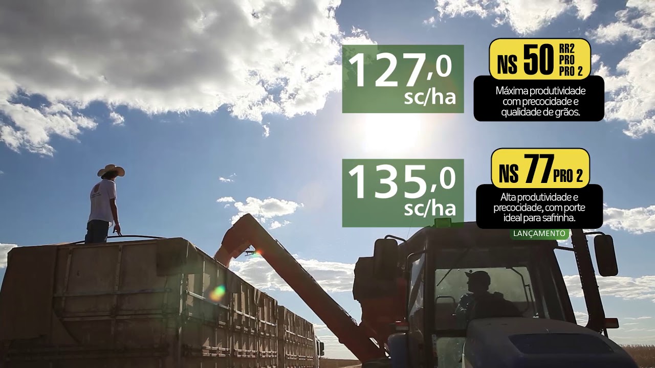 NIDERA SEMENTES - Depoimento NS 7901 RR, NS 7780 IPRO, NS 8338 IPRO, NS ...