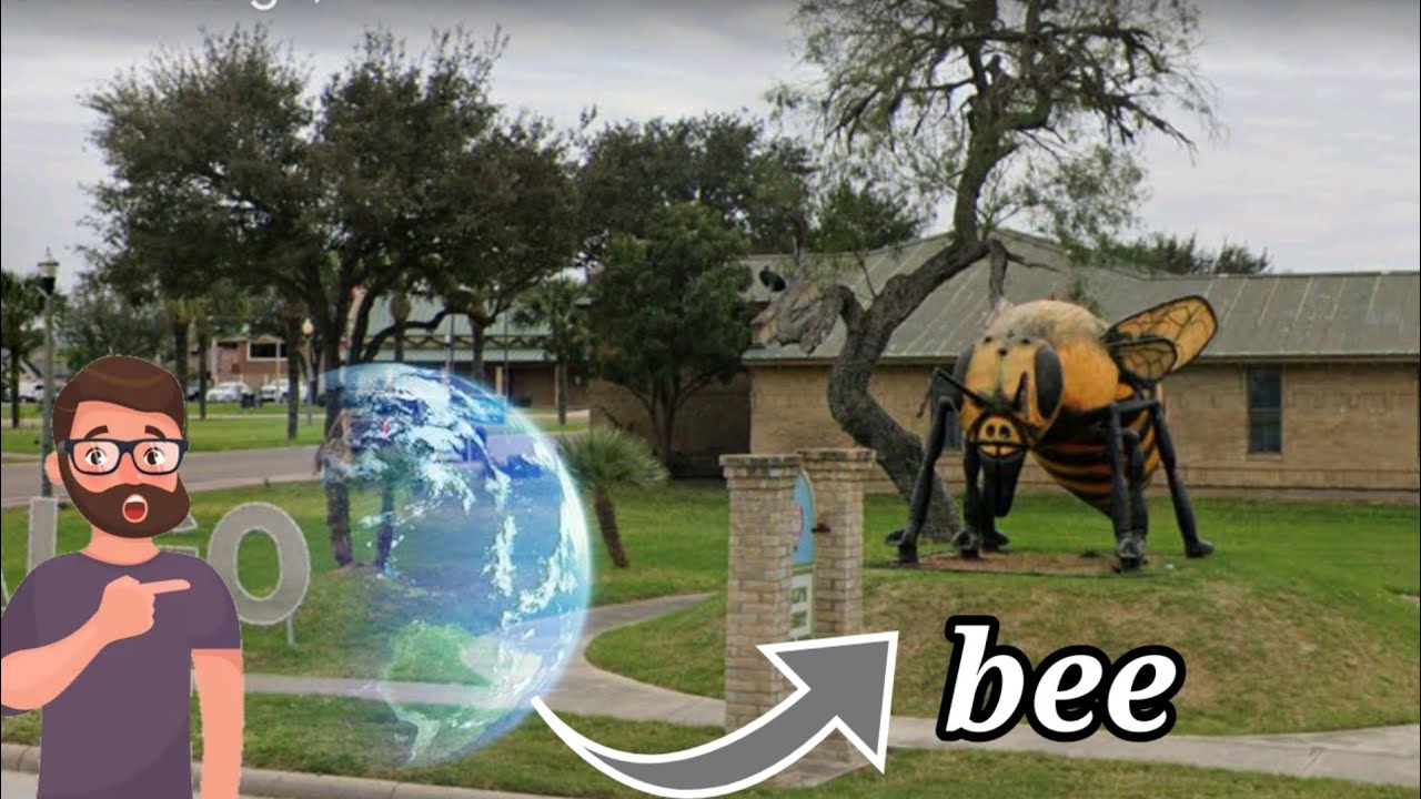 the Big bee in google map - YouTube