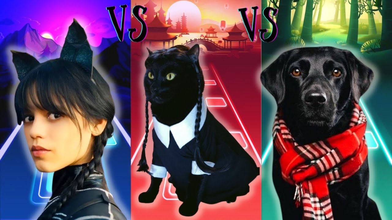 Cat Wednesday vs Cute Cat vs Funny Dog - Tiles Hop - YouTube