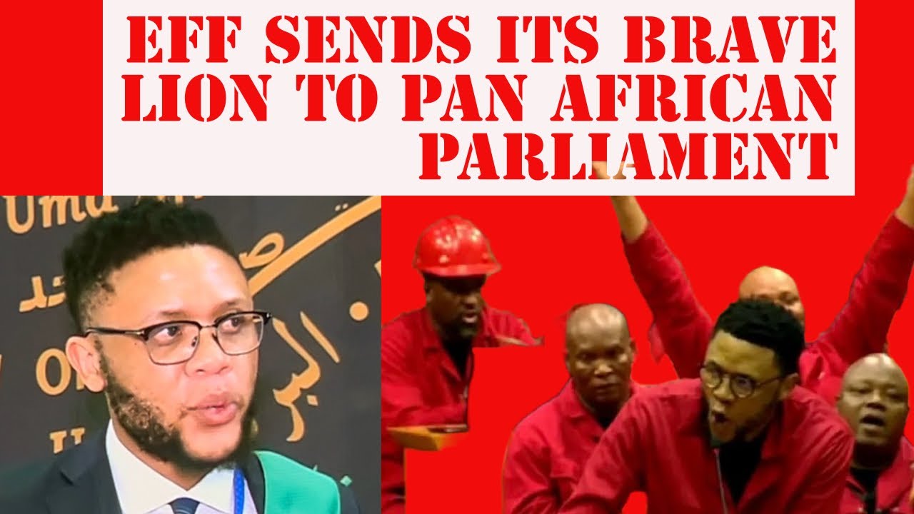 @economicfreedomfighters7948? EFF sends its brave young lion VUYANI ...