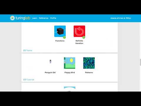TuringLab - Stage 3 - Penguin Ski Solution - YouTube
