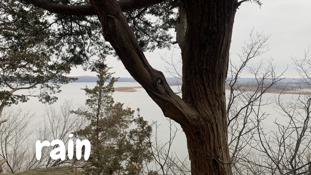 1.5 hours of Christmas rain at Spring Lake Park Reserve – rain ambience ...